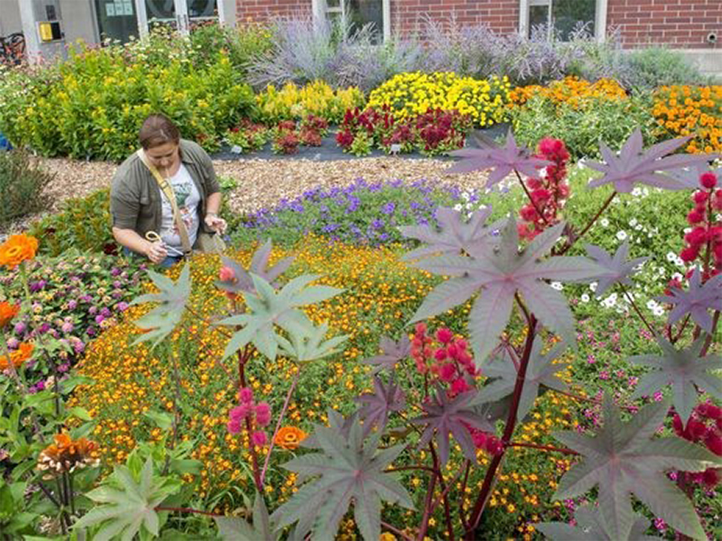 Sprout into expert horticulturist through Master Gardeners program