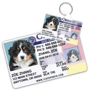 Dog licenses provide security for you and your pet