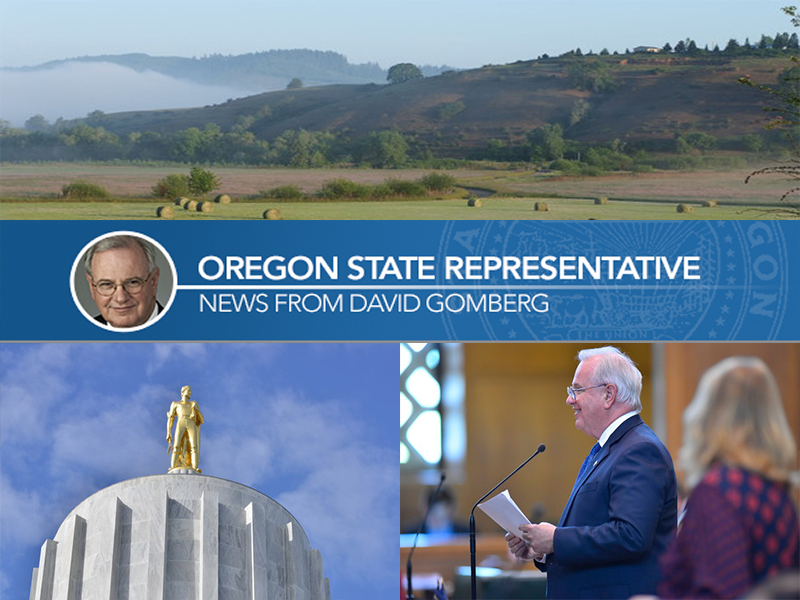 Gomberg: Legislative wrap-up and town halls