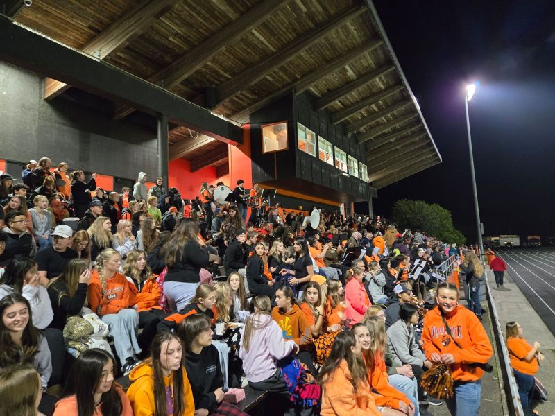 Tigers Win!!!!!!